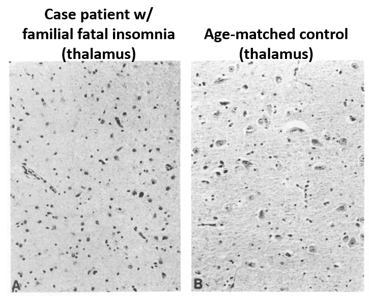 1/ In medical school, I remember being both fascinated and terrified by ...