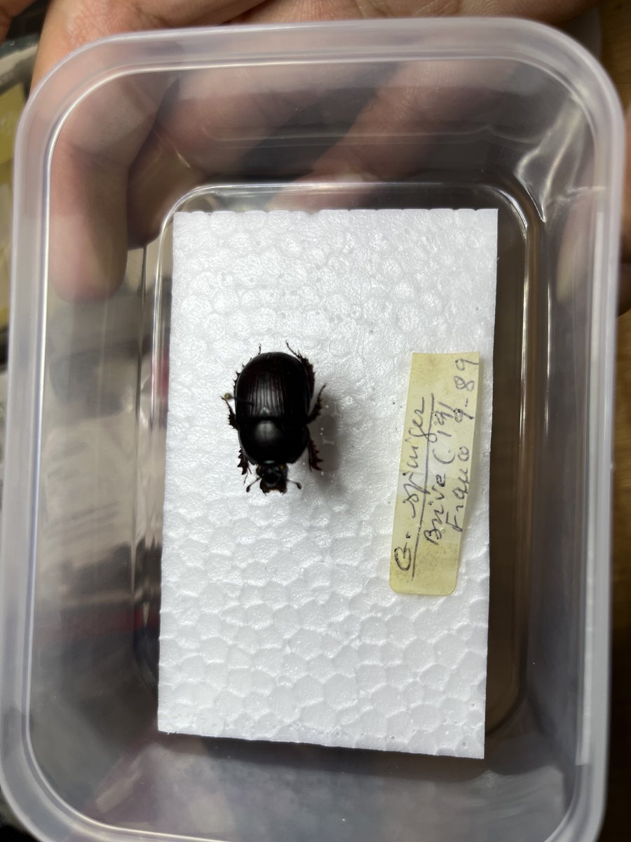 Nakazato T.(@chalkless) - Twilog (ツイログ)