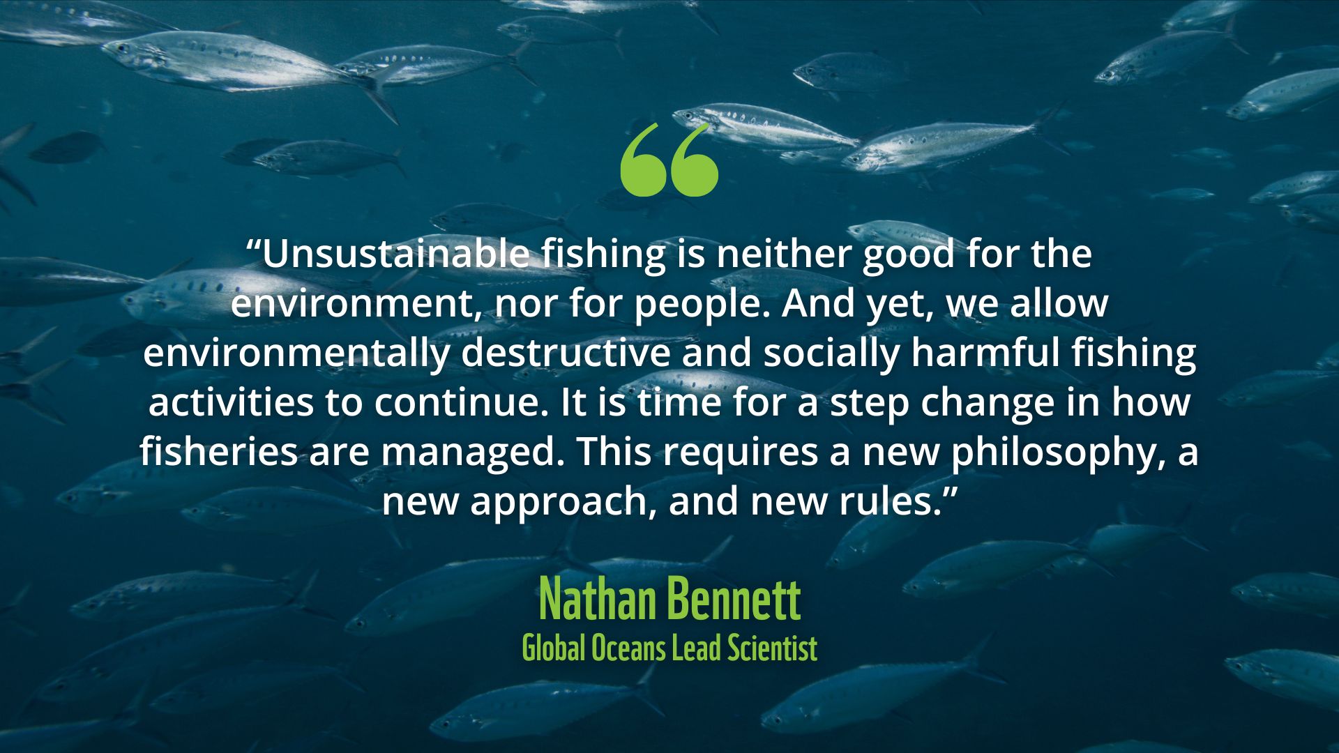 Good And Bad Environment How Inequality Fuels Climate Change: The