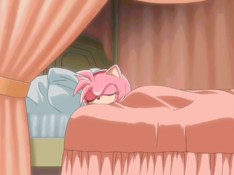 Amy Rose And Sonic Sonic X Screenshots
