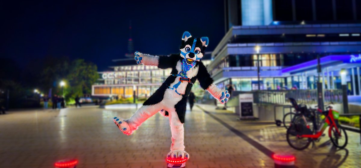 Bolt @Bolt_Furry X Profile | Muskviewer