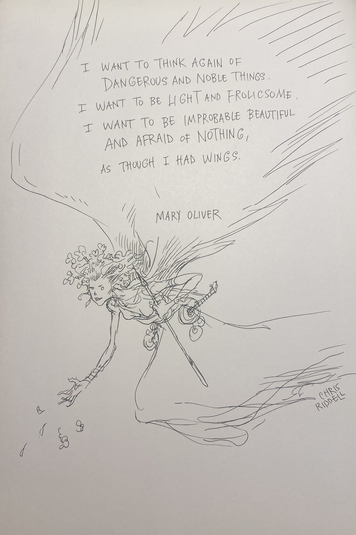 Chris Riddell Quotes Scottish Friendly | The Occasional Bookwitch