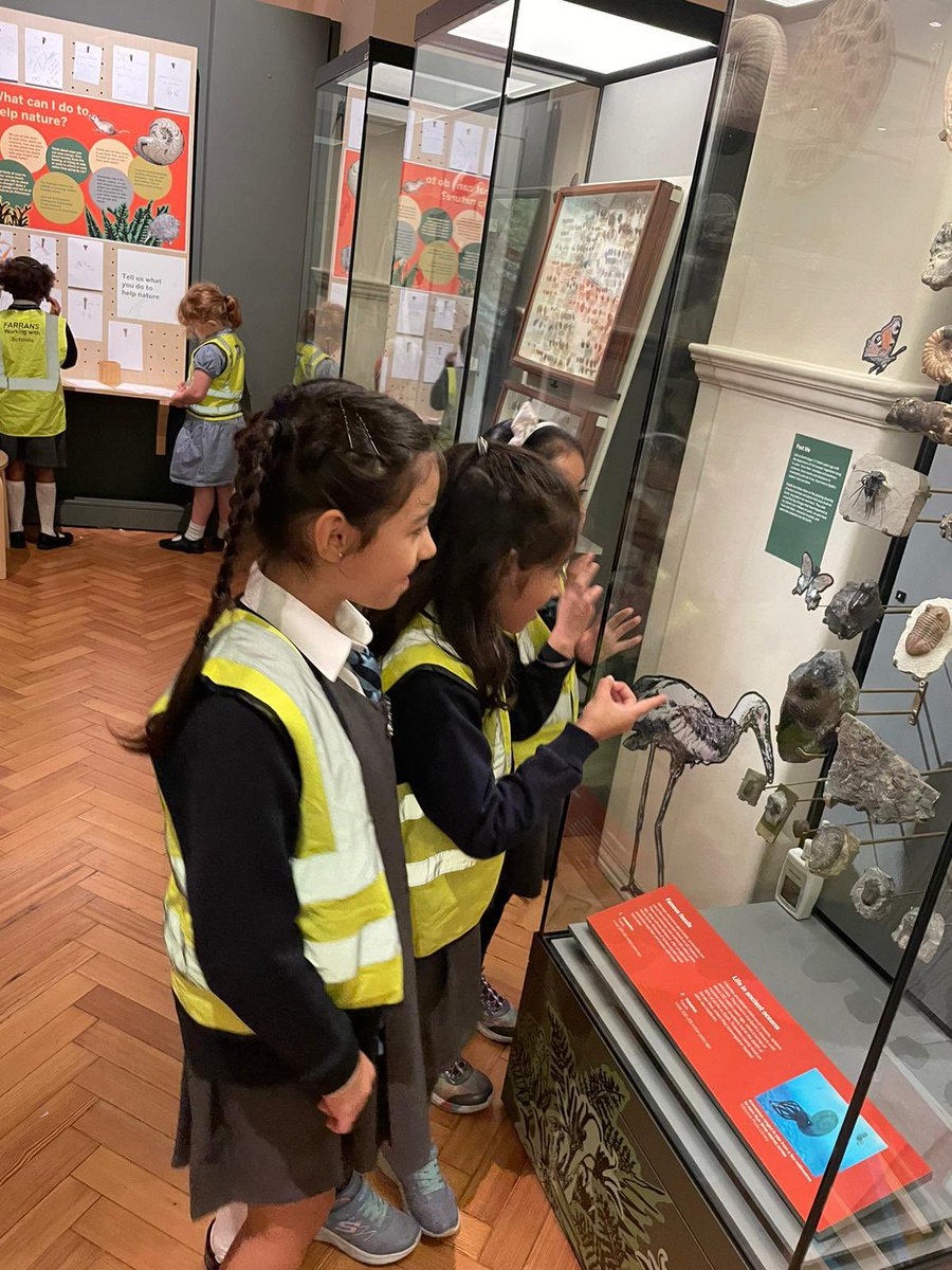 Welcome to Harris Primary Shortlands