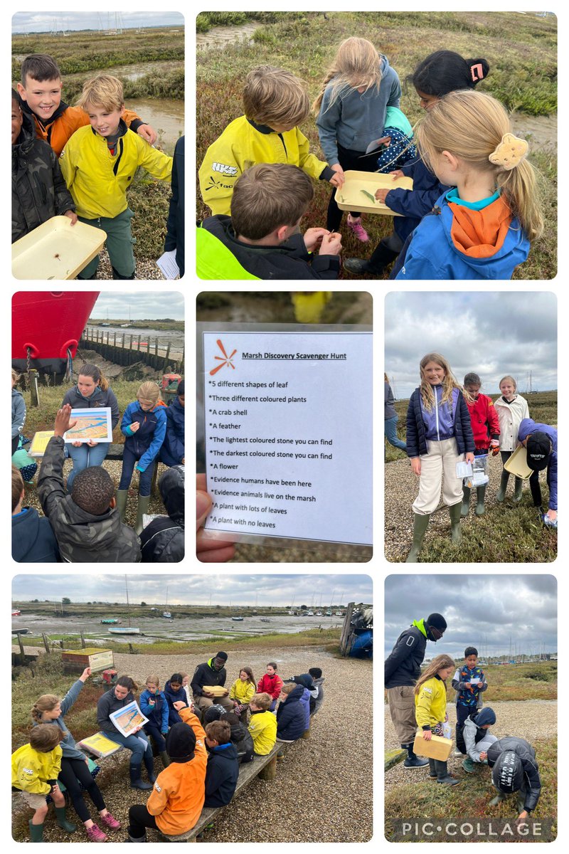 Nature Amble Walk - News - Harpenden Academy