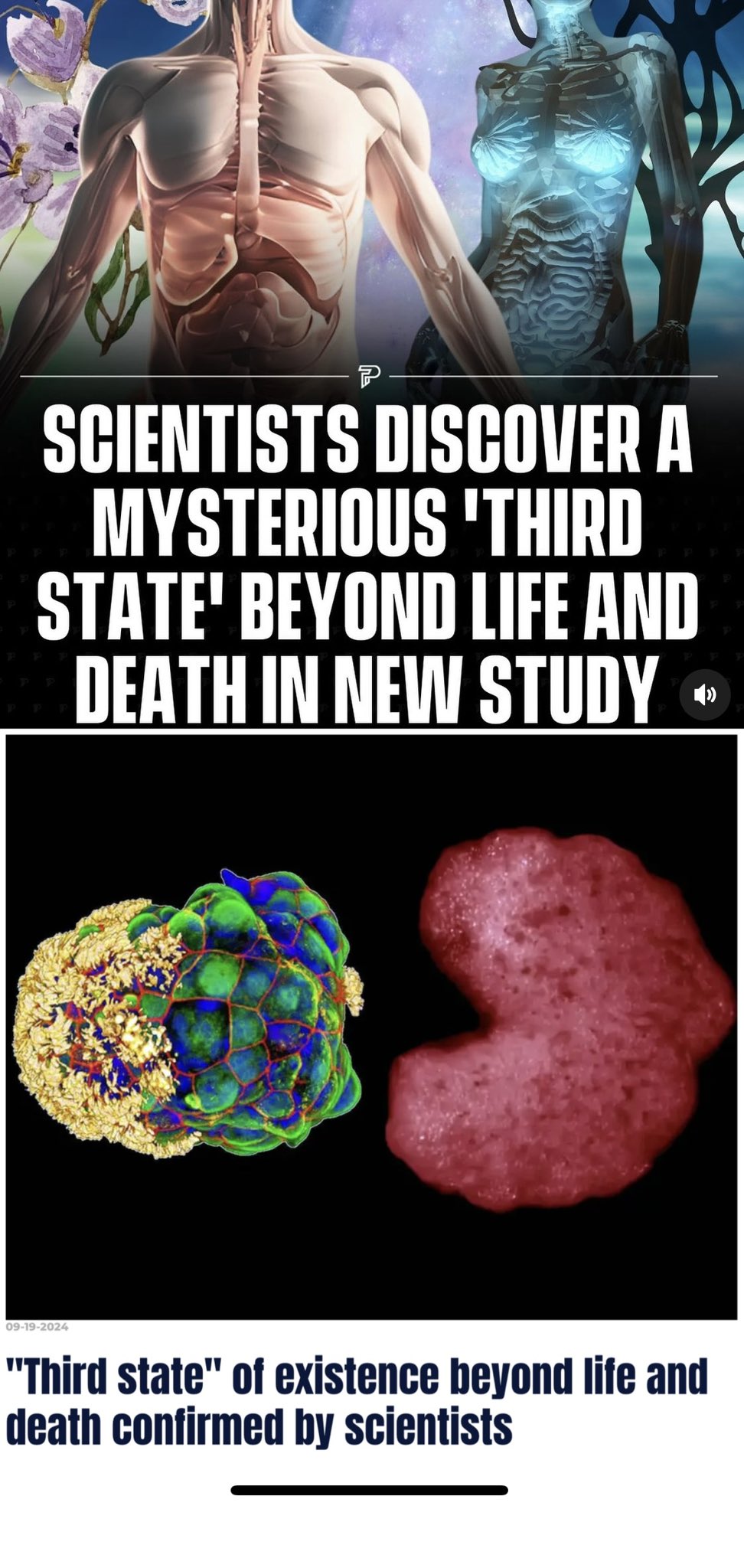 Life Proof Memes Darwin, C. R. Notebook B: [Transmutation Of Species