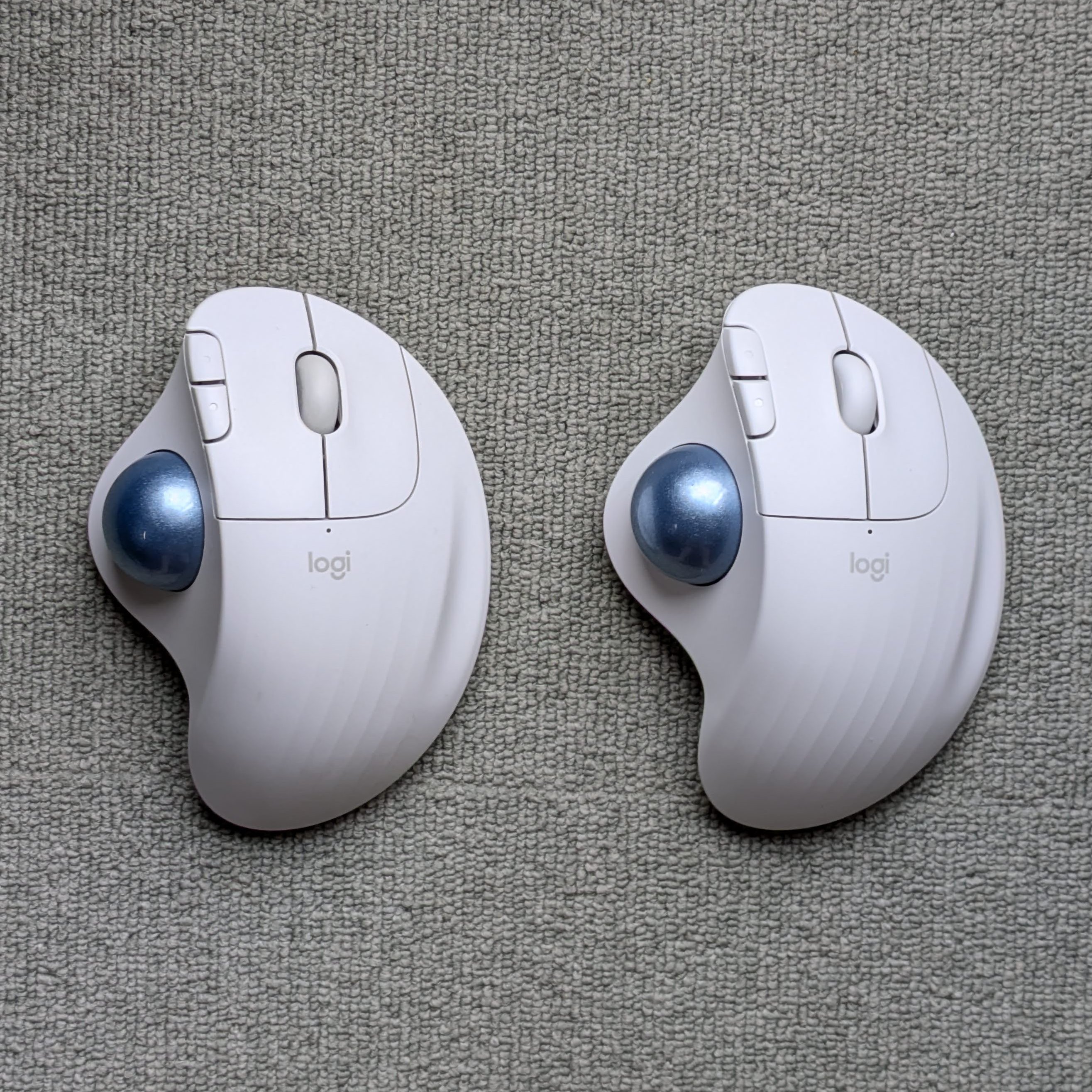 猫のトラックボールルーム (@nekotrackball) / X 猫のトラックボールルーム (@nekotrackball) / X
