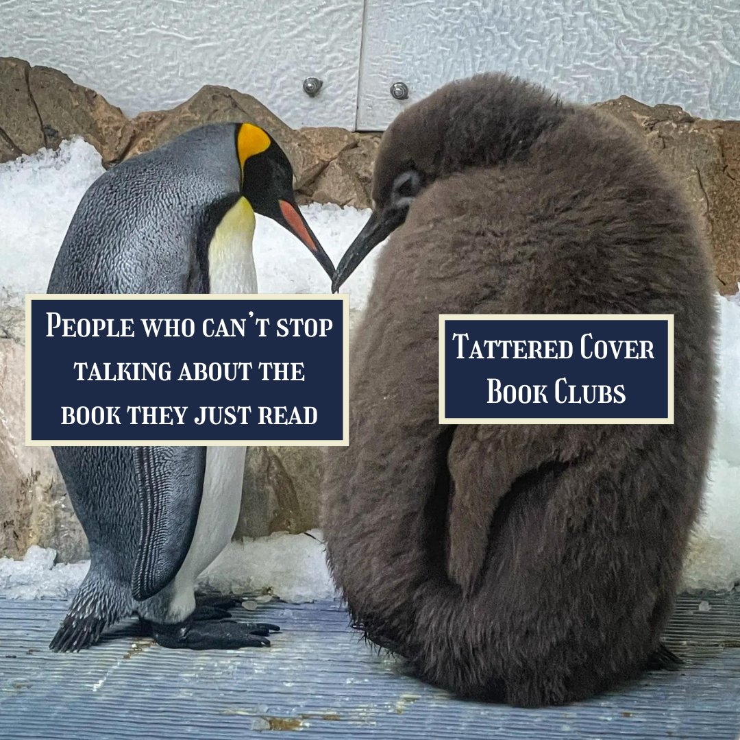 Just Stop Talking Meme