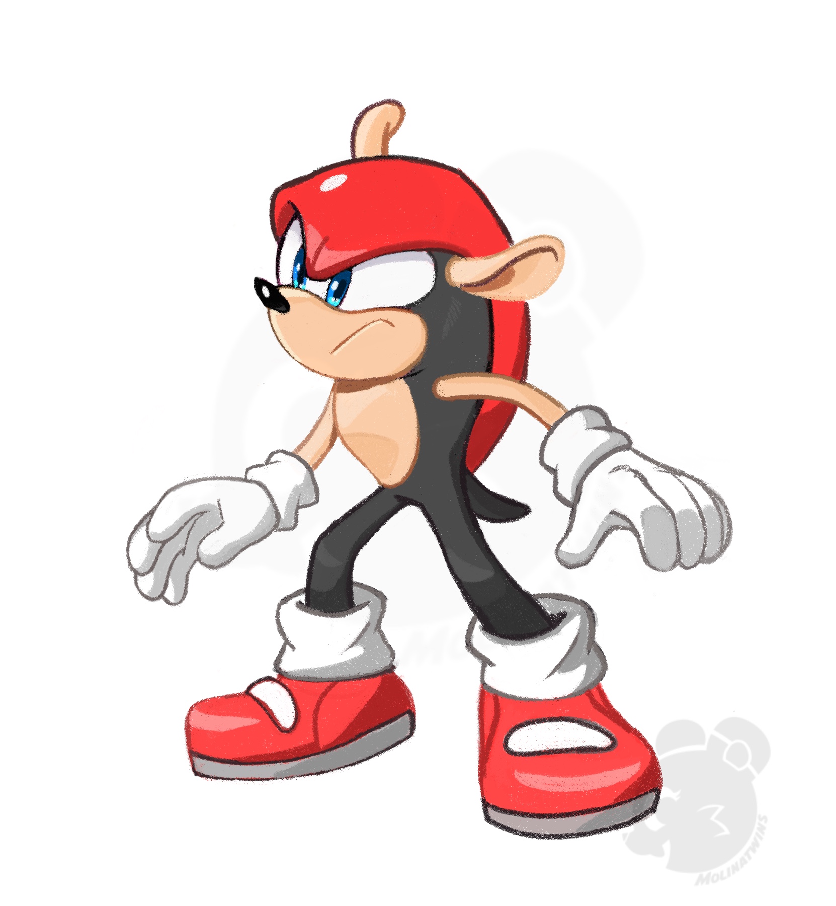 Mighty The Armadillo Sonic Boom