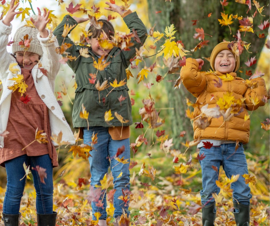 Operations - Learning Partners Academy Trust