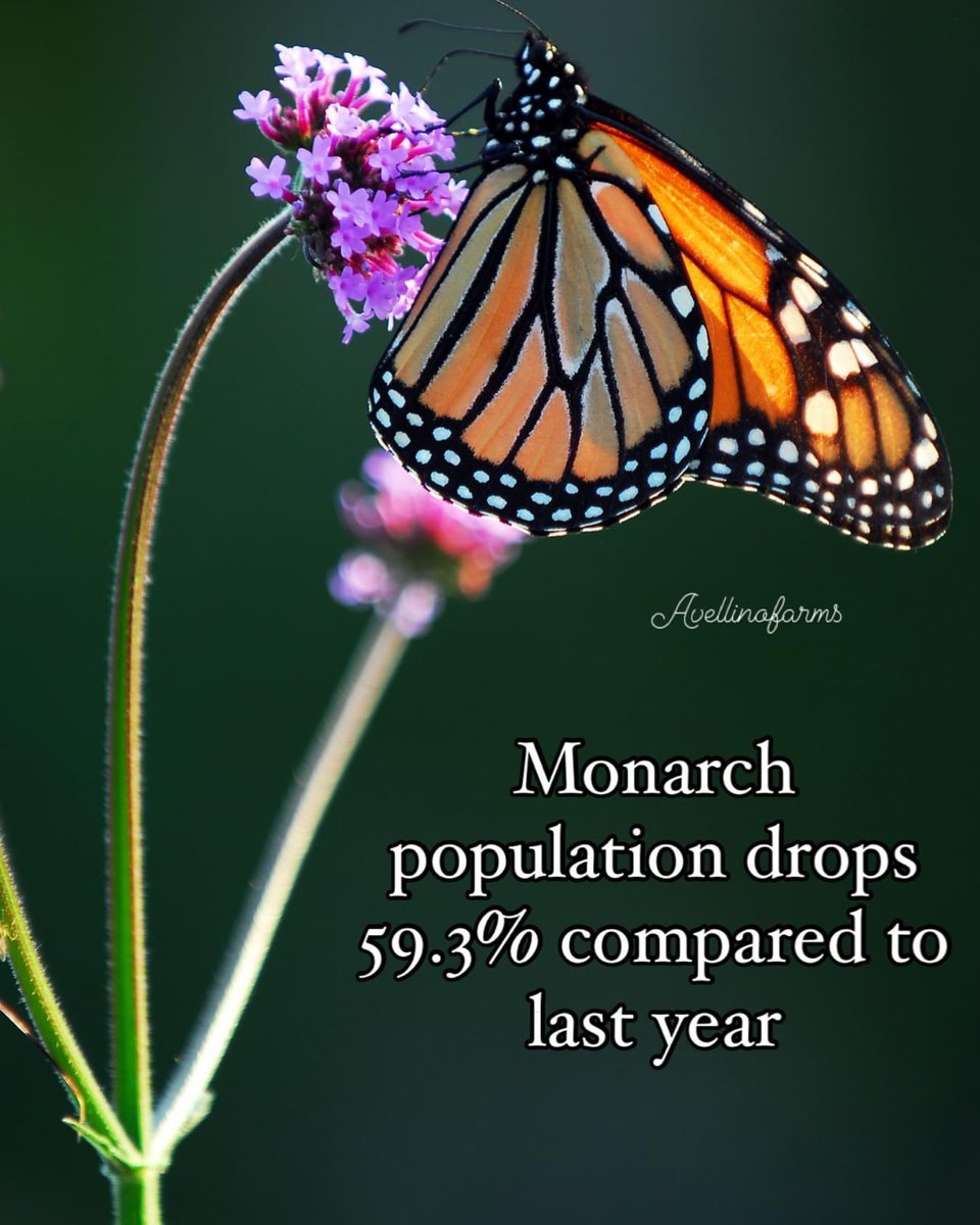 The Passing of a Legend: Les Alderman - The Mitigation Banking Group