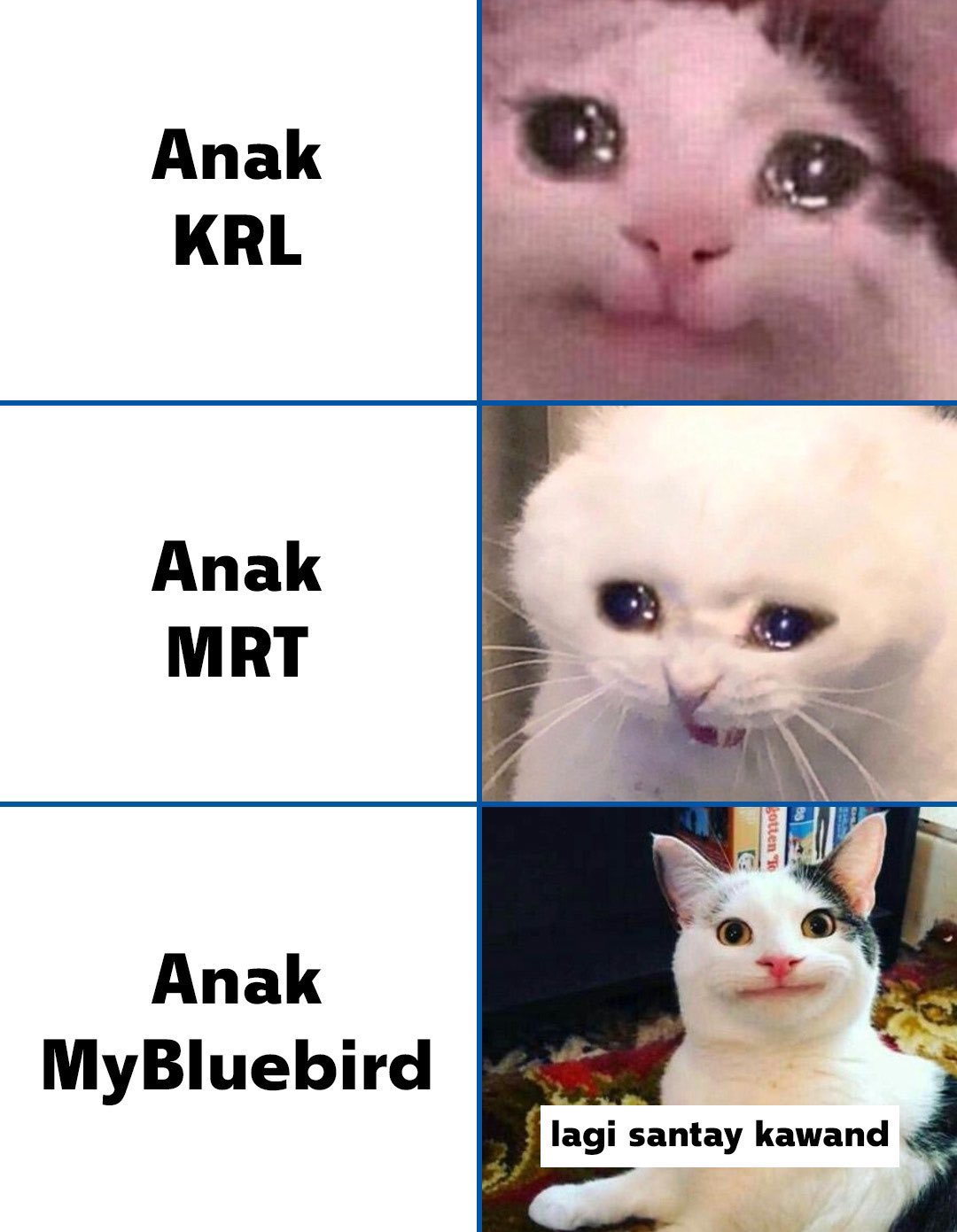 Krl Memes II Krl Esse Som Tá "muito Bom I IFunny