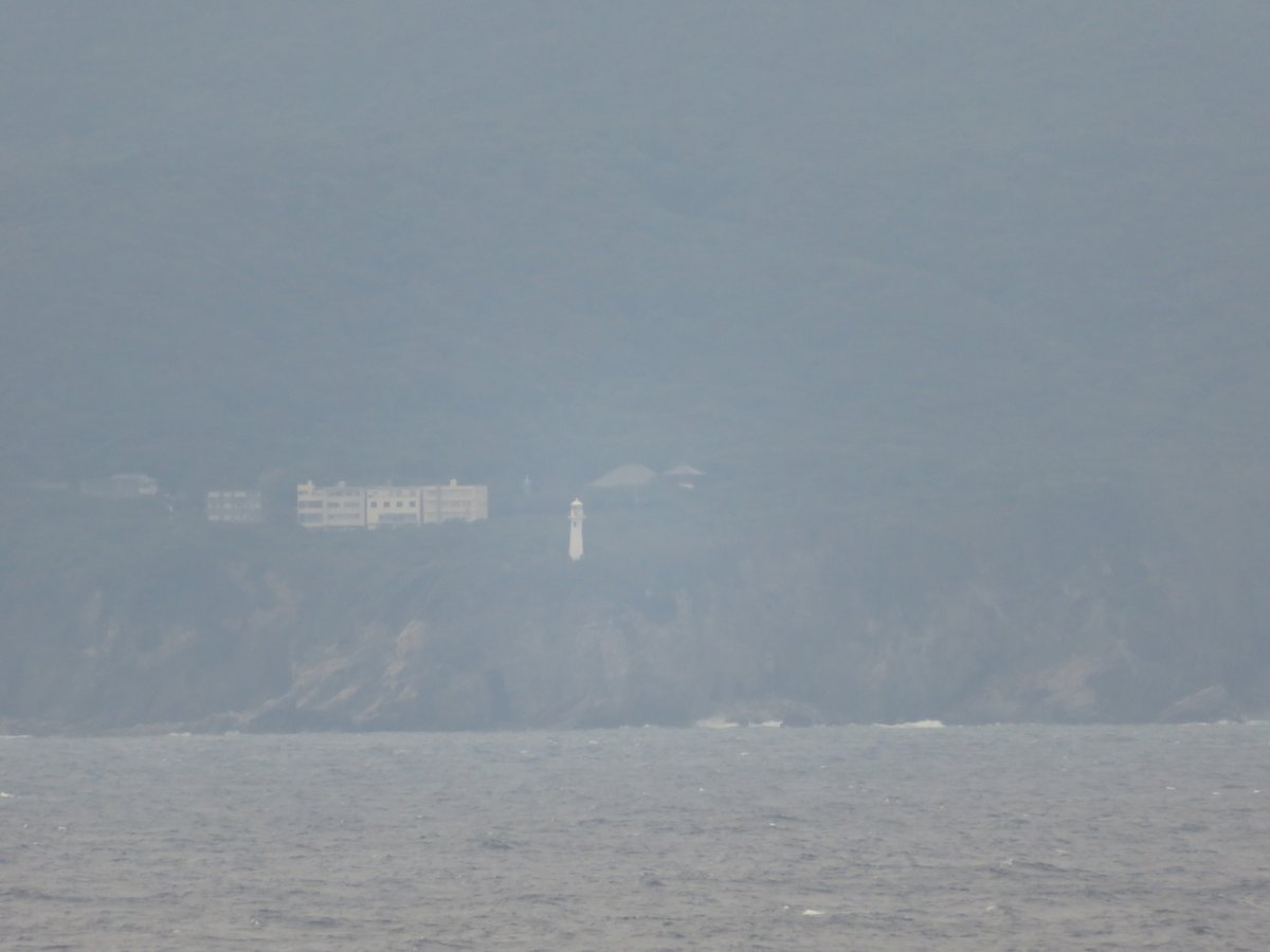 ハンディバルク(@handy_bulk) - Twilog (ツイログ)