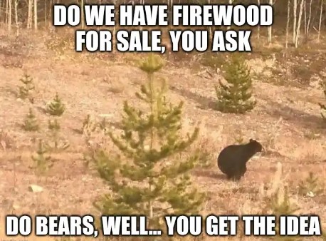 Firewood Memes Burn It Where You Buy It: Stop The Spread Of Invasive