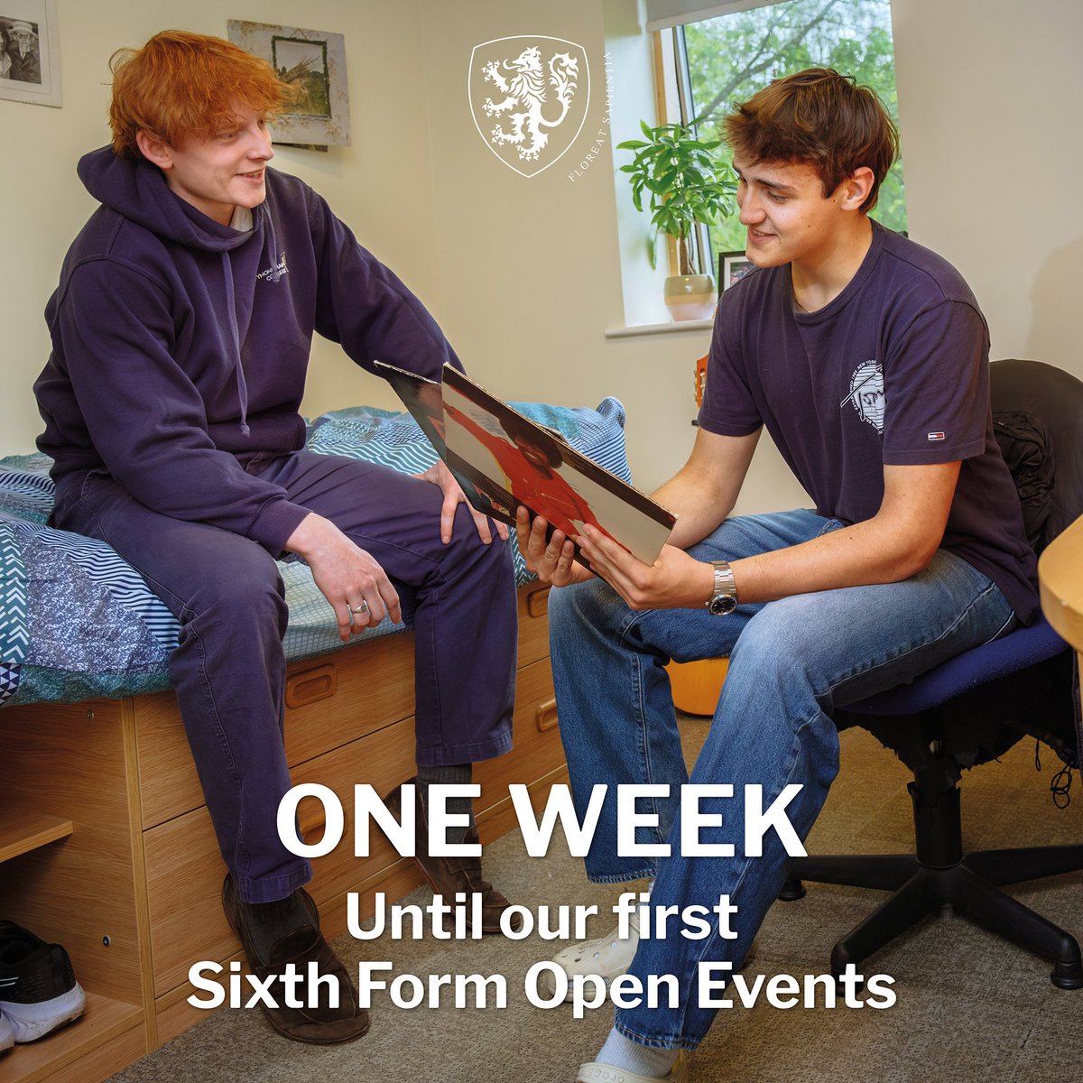 Trust News - Sapientia Education Trust