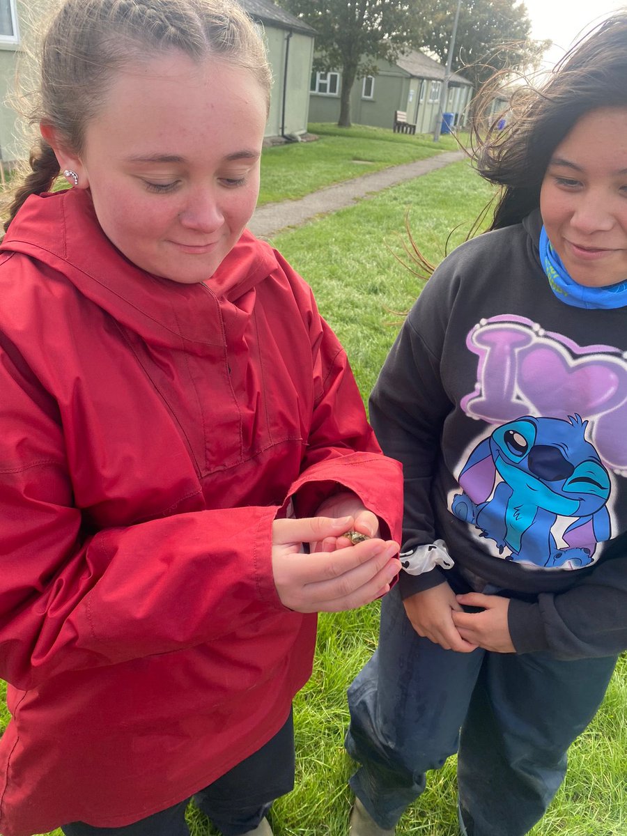 Walkington Primary School