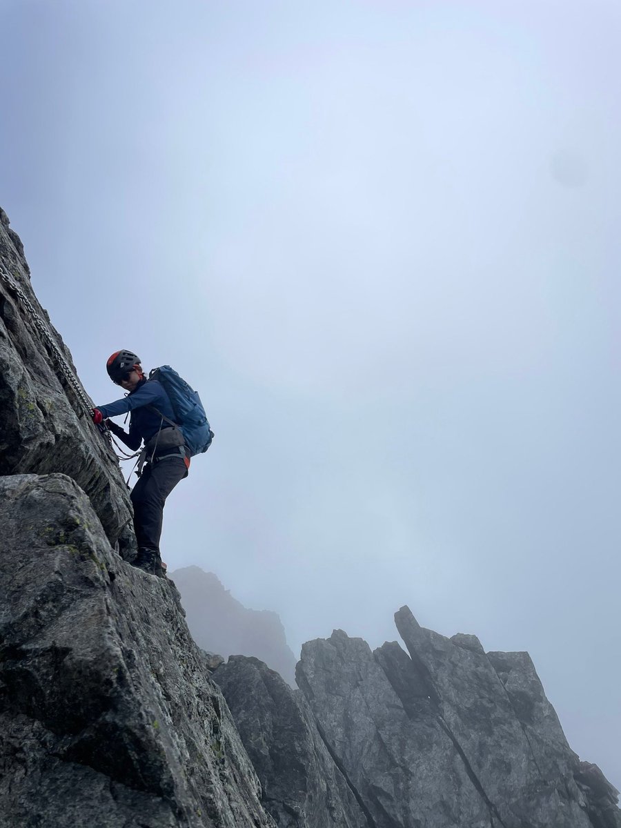 わんだらぁ(@StellaInerrans) - Twilog (ツイログ)