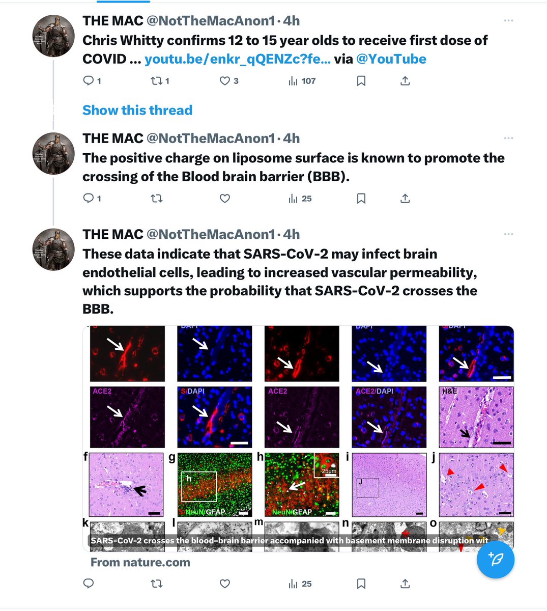 Thread by @NotTheMacAnon1 on Thread Reader App – Thread Reader App