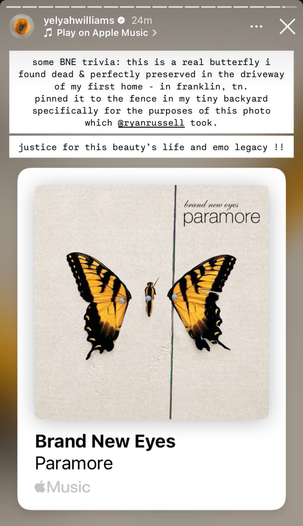 Paramore Brand New Eyes Album Cover Butterfly Design Inspired By