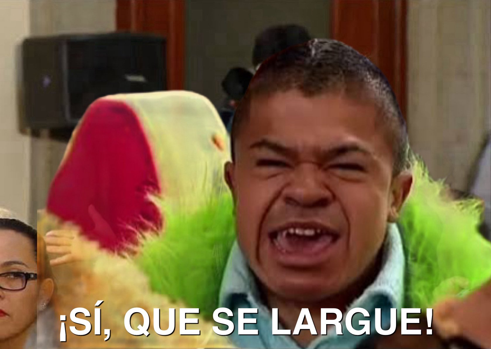 Memes Si Que