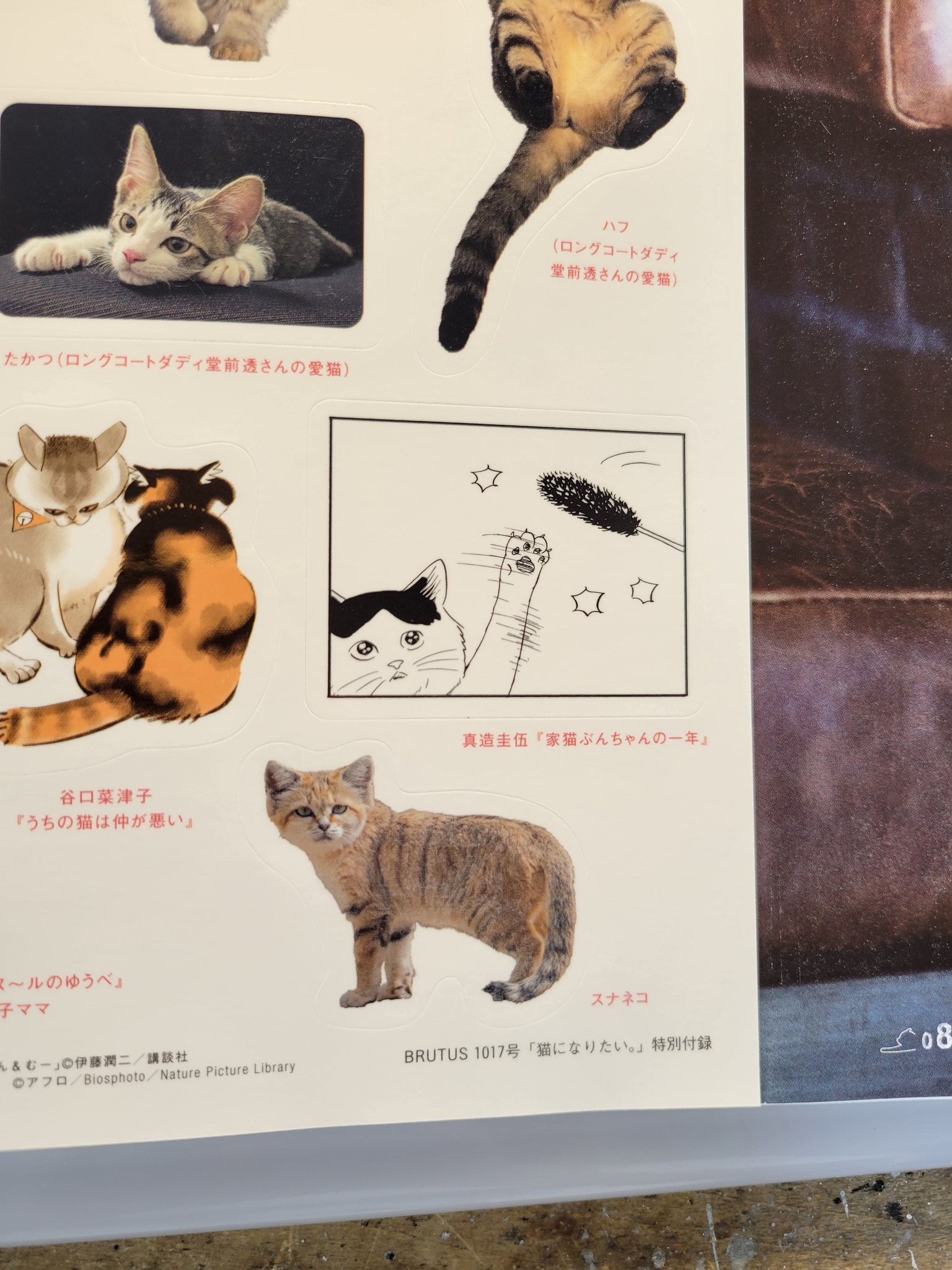 真造圭伍 ひらやすみ最新8集発売中!! on X: 真造圭伍 ひらやすみ最新8集発売中!! on X: