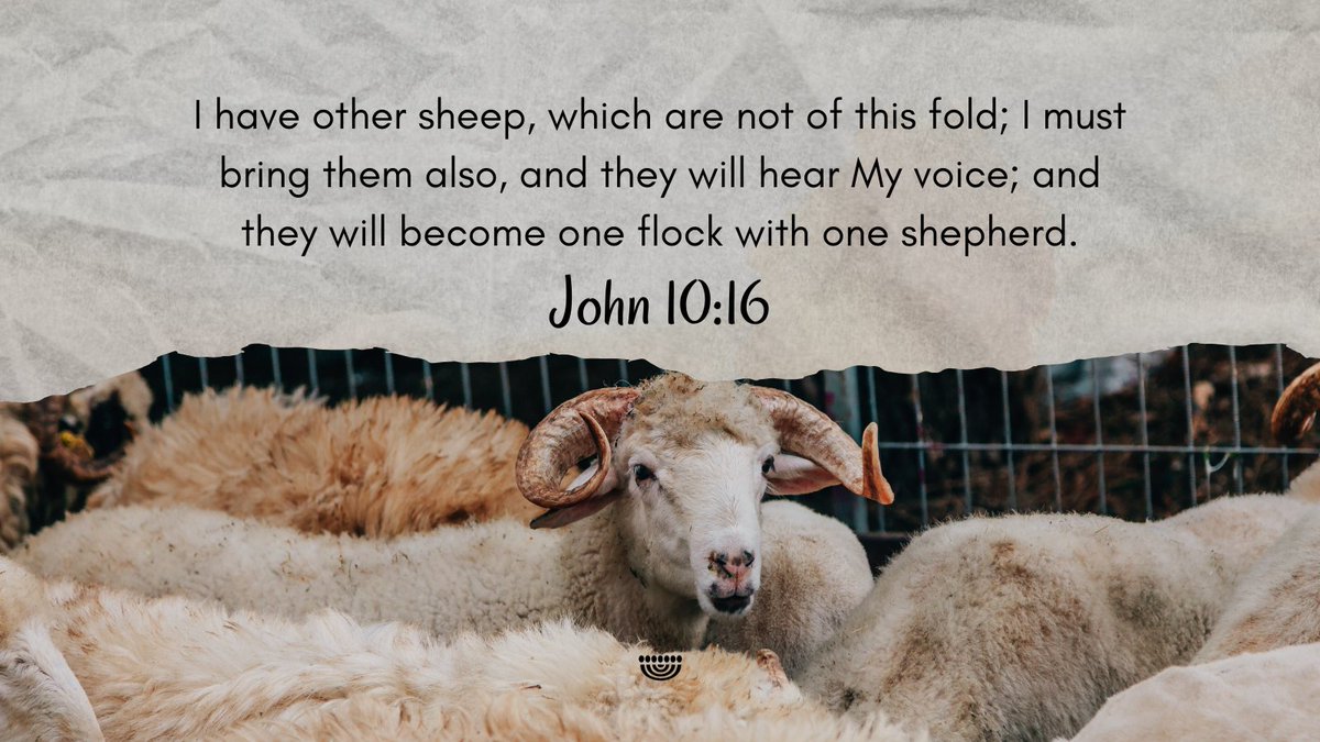 One Sheep Bible Verse