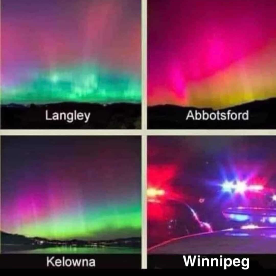 Funny Tweets | The most hilarious, funniest tweets, updated hourly!