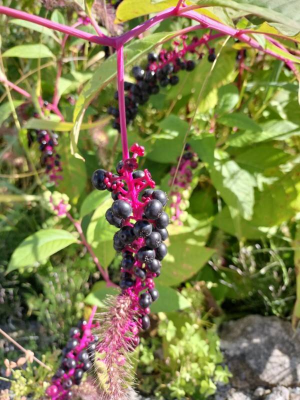 イラストレーター わたなべふみ(@fumira) - Twilog (ツイログ)