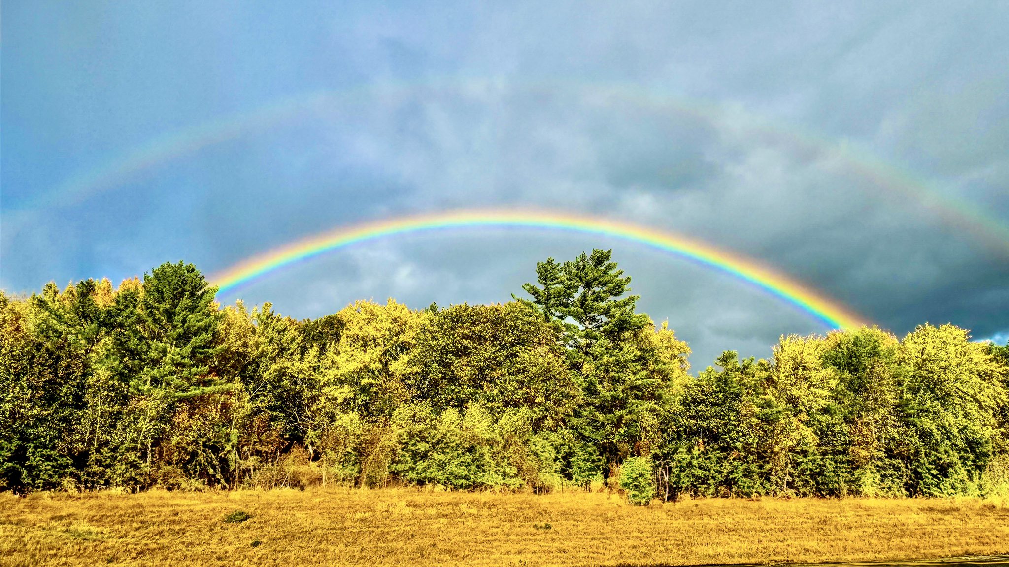 Rainbow Over Magnificent Tree