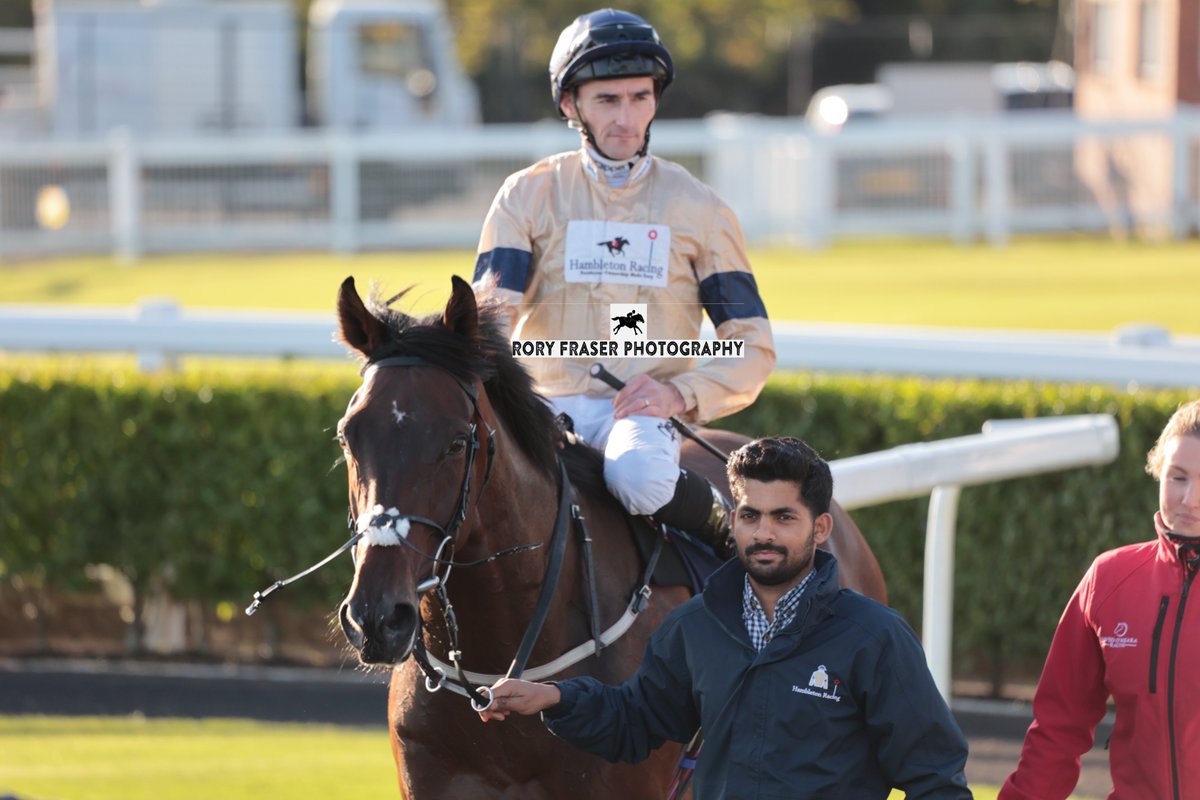 Home - David O'Meara Racing