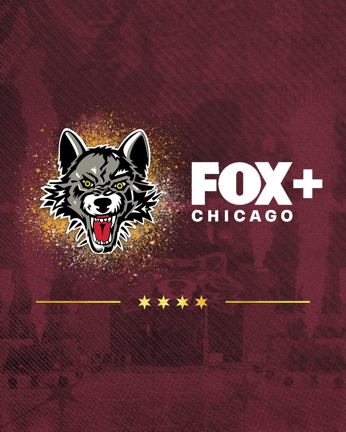 Chicago Wolves Hockey Logo Medallion Puck – Chicago Wolves Store