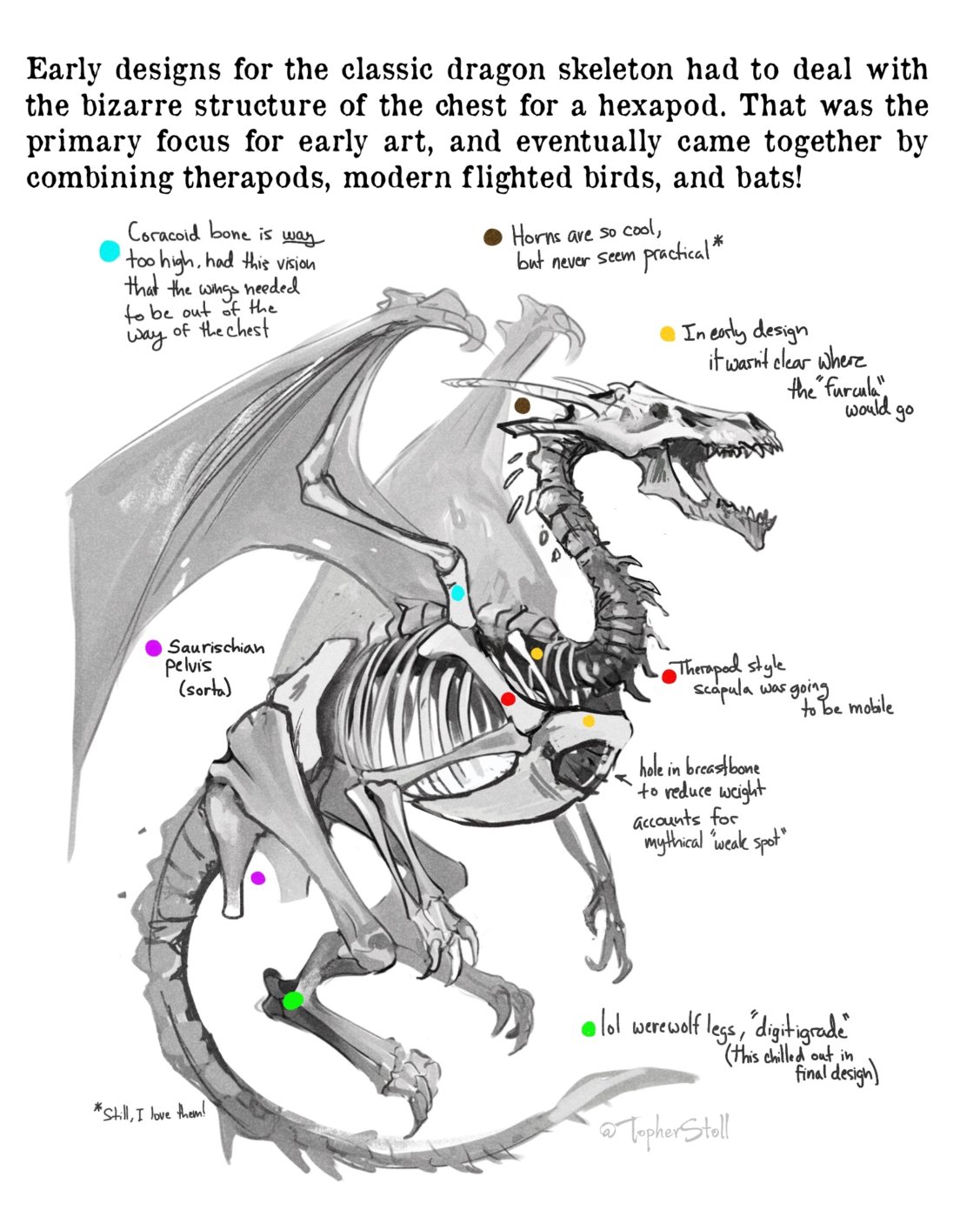 Dragon Anatomy Skeleton The Artistic Study Of Anatomy (and Dragons)