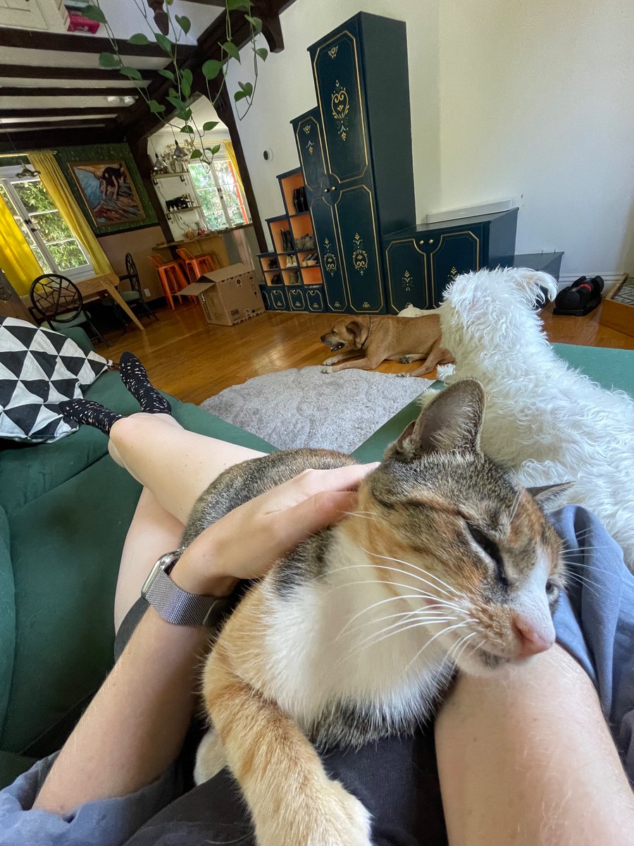 Simone Giertz @SimoneGiertz profile | Muskviewer