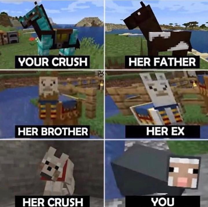 Minecraft Sheep Memes I Put The Minecraft Movie Trailer Sheep/Llama
