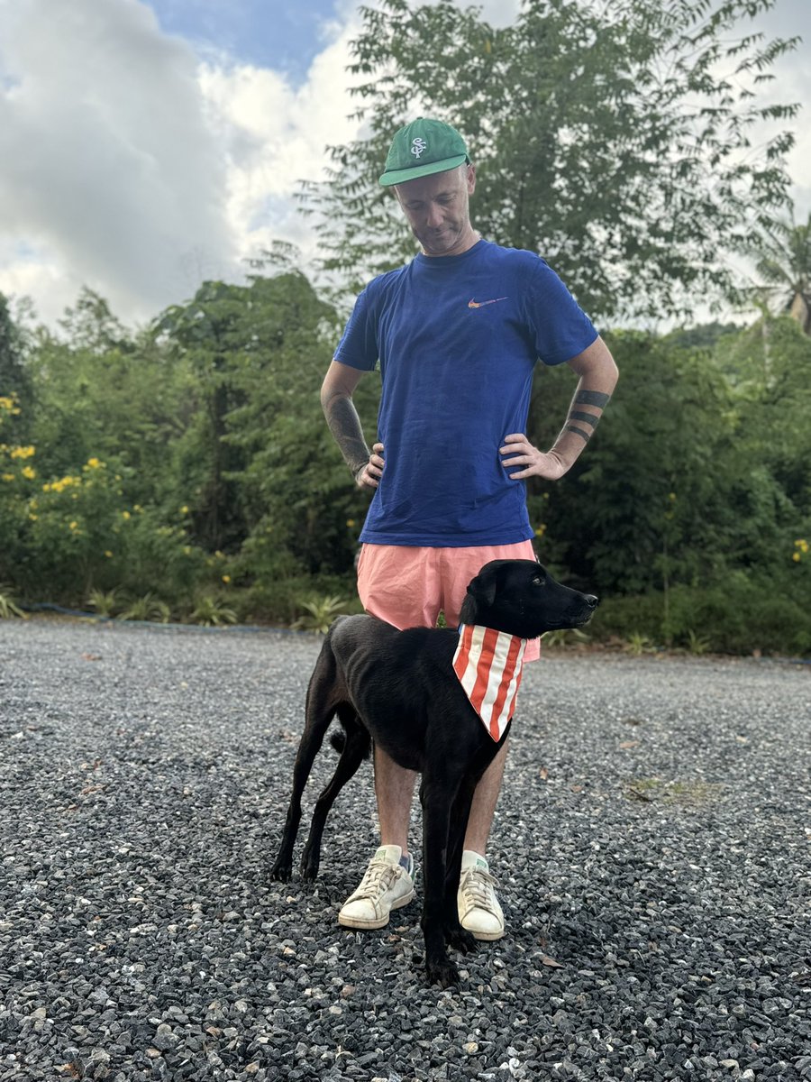 Thread by @NiallHarbison on Thread Reader App – Thread Reader App