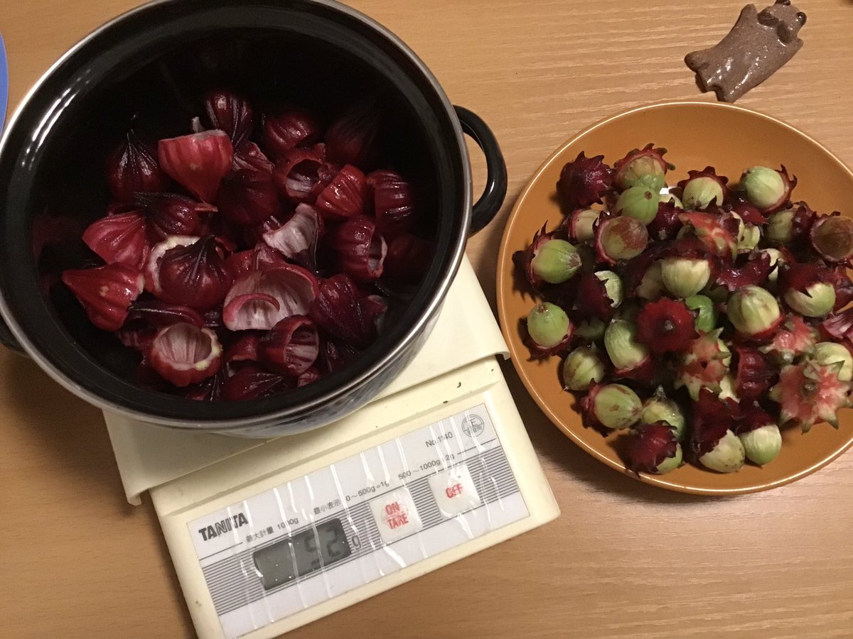 さえ @ 螺旋階段の上へ(@sae_cararu) - Twilog (ツイログ)