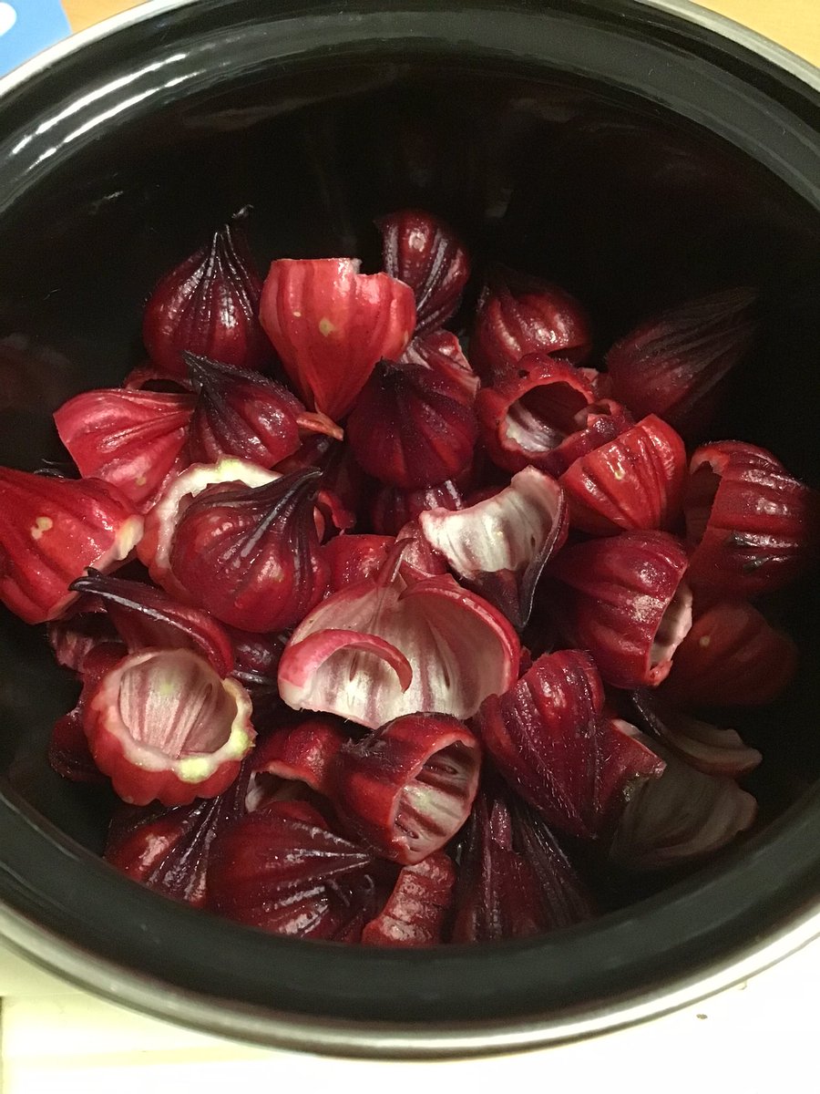 さえ @ 螺旋階段の上へ(@sae_cararu) - Twilog (ツイログ)