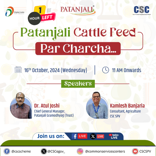 Patanjali Gramodyog Logo Patanjali's FY17 Turnover Up 111% To Rs