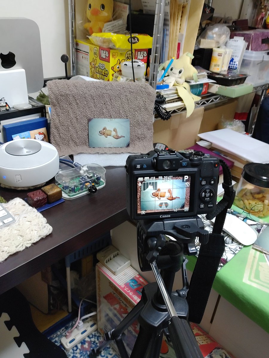 SRKWブッダ(@srkw_buddha) - Twilog (ツイログ)