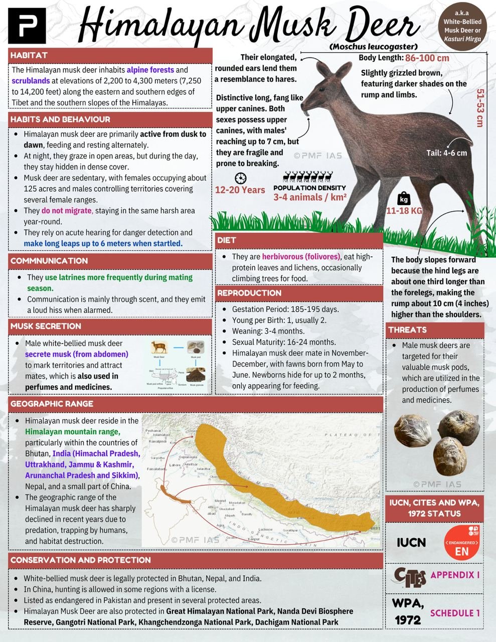 Himalayan Musk Deer Empirical Data Suggest That The Kashmir Musk Deer