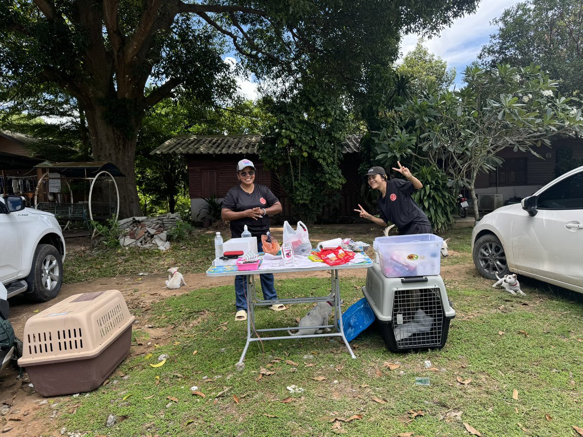 Niall Harbison's Threads – Thread Reader App