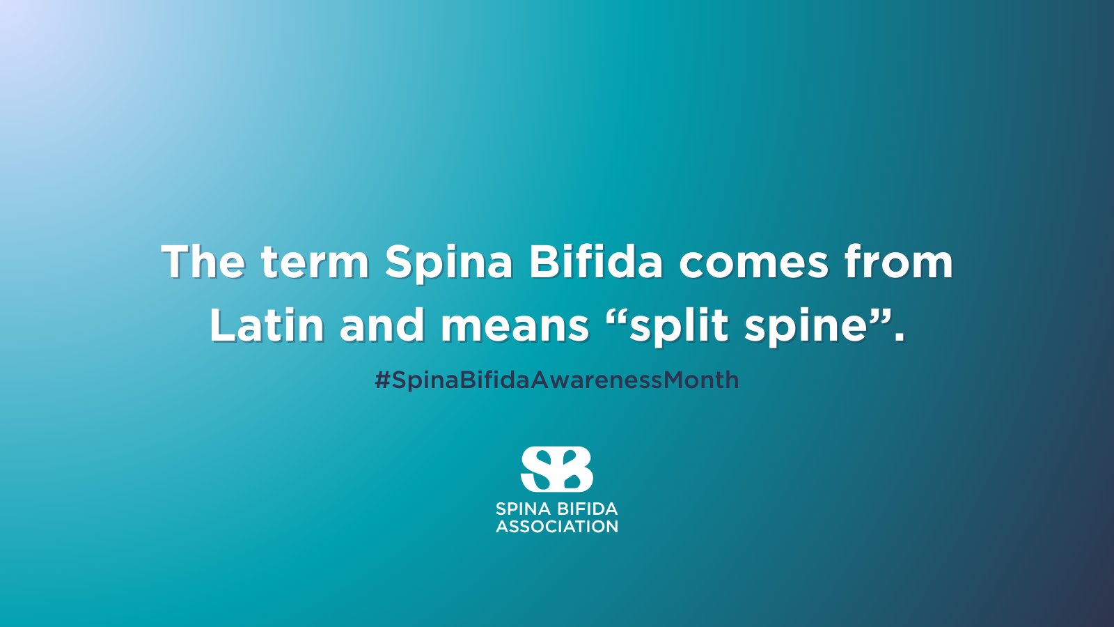 Spina Bifida Quotes Stories Of Prenatal Diagnosis: A. O. National