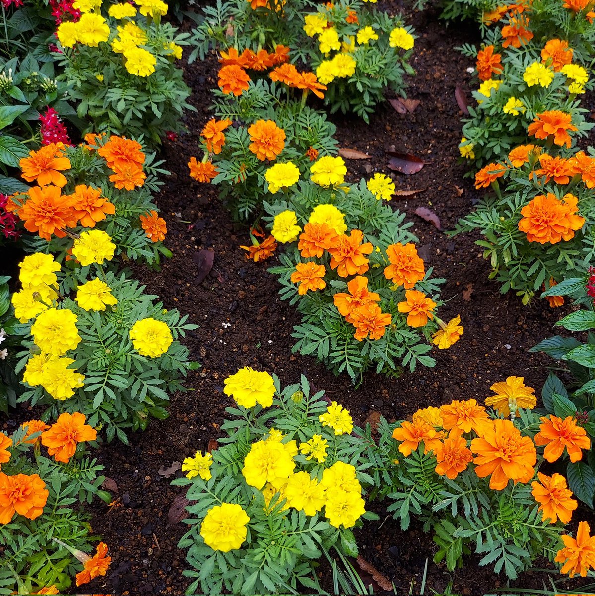 苑生(@Sonoo_Y) - Twilog (ツイログ)