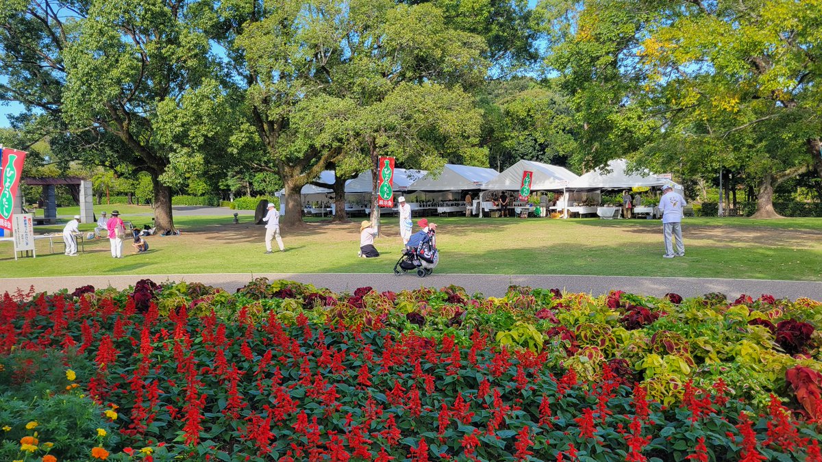 苑生(@Sonoo_Y) - Twilog (ツイログ)