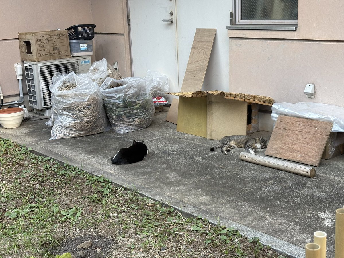 𝒽ℴ𝓈𝒾_𝓂ℴ(@hosi_mo) - Twilog (ツイログ)