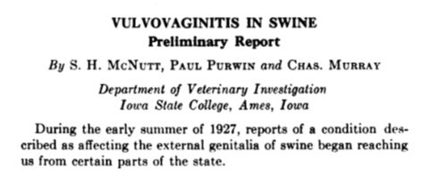🌼🙂🍊 Peat Pillman's Threads – Thread Reader App