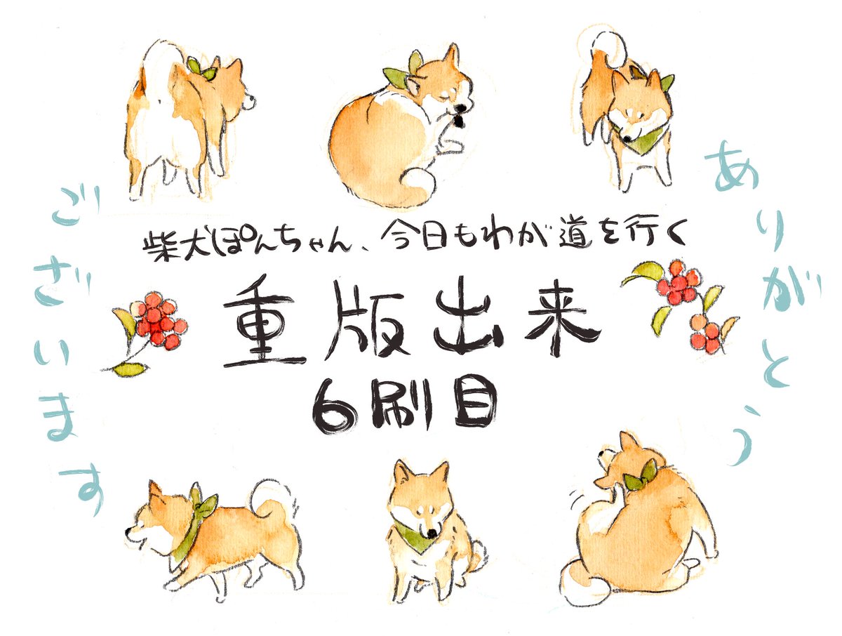 柴犬ぽんちゃん、今日もわが道を行く」 重版6刷目が決定しました!!!!!!!!!!!!!!!!!!!!! 感謝で頭」犬山スケッチの漫画