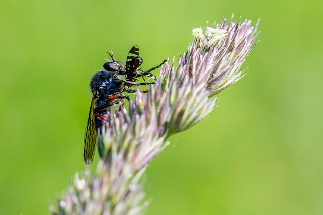 Amanda Flannery (@Bokep_jav_BxxmE) / Posts / X