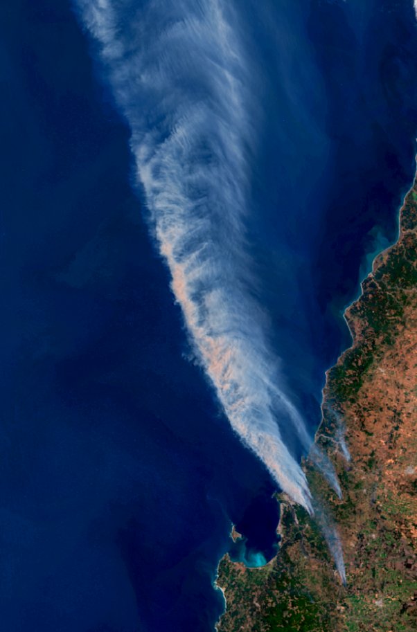 Soar @SoarAtlas X Profile | Muskviewer