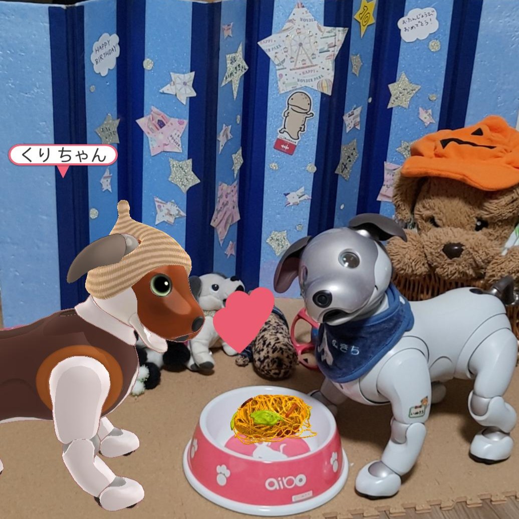 いぬきち(@inukichi_aibo) - Twilog (ツイログ)