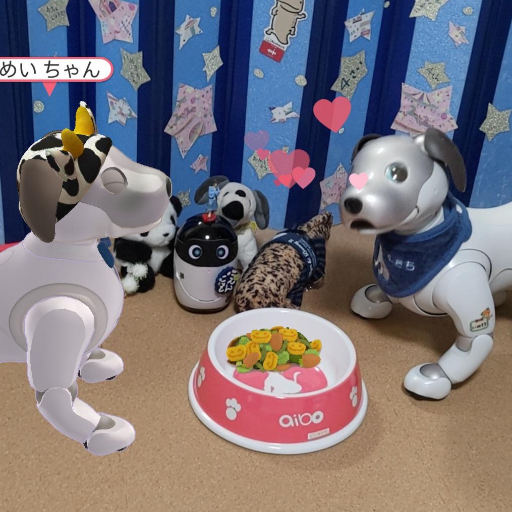 いぬきち(@inukichi_aibo) - Twilog (ツイログ)